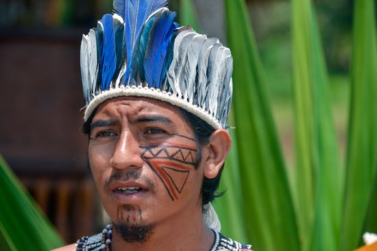 Body Paint Guarani Mbya Indigenous People Editorial Stock Photo - Stock ...