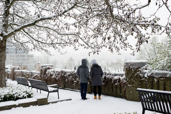 Couple Watching Snowfall On Early Morning Editorial Stock Photo - Stock ...