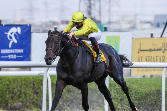 Shamikh Usa Ridden By Ryan Curatolo Editorial Stock Photo - Stock Image ...