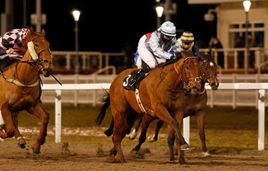 Hunters Step Grace Mcentee Wins Racing Editorial Stock Photo - Stock ...
