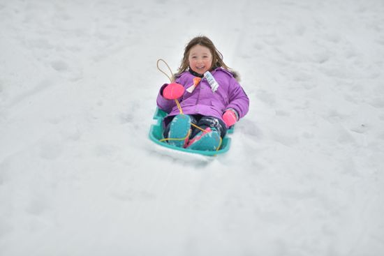 Riley Walker Sleds Down Hill Editorial Stock Photo - Stock Image ...