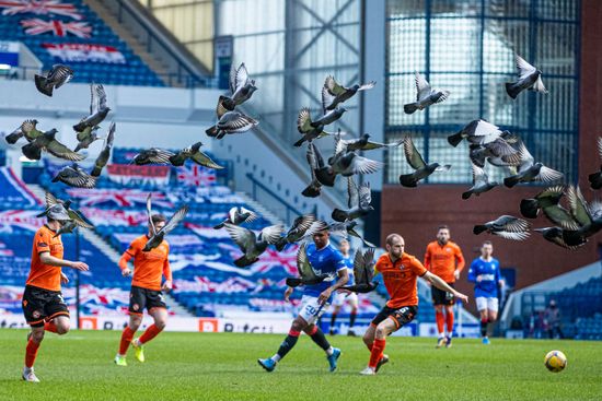 Pigeons On Pitch During Scottish Premiership Editorial Stock Photo ...