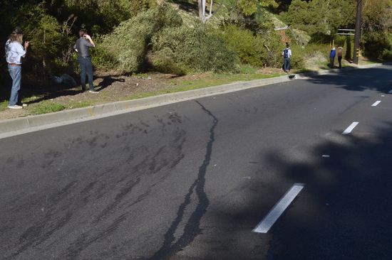 Streak Oil On Pavement Hawthorne Blvd Editorial Stock Photo - Stock ...