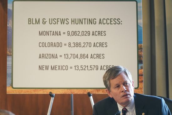 Sen Steve Daines Rmt Questions Rep Editorial Stock Photo - Stock Image ...
