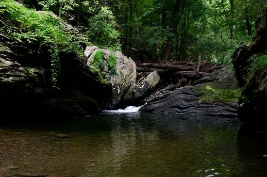 View On Devils Pool Wissahickon Valley Editorial Stock Photo - Stock ...