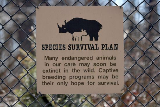 Species Survival Plan Beardsley Zoo Bridgeport Editorial Stock Photo ...