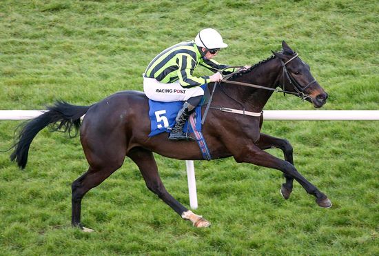Patrick Mullins On Dark Raven Winning Editorial Stock Photo - Stock ...