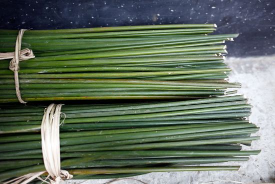 Bundle Canes Seen Artisan Weaves Straw Editorial Stock Photo - Stock ...