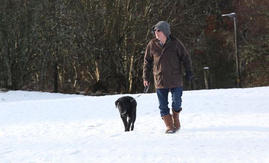 Man Walks His Dog Snow Kingussie Editorial Stock Photo - Stock Image ...