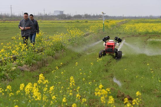 Unmanned Crop Protection Machine Works On Editorial Stock Photo - Stock ...