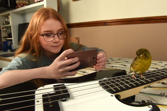 Georgie Shute 15 Barry Bird Known Editorial Stock Photo - Stock Image ...