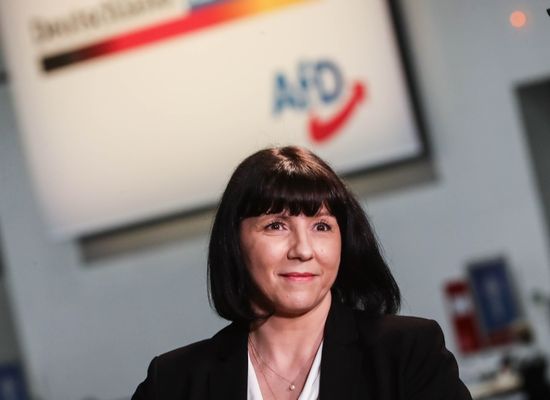Alternative Germany Party Afd Top Candidate Editorial Stock Photo ...
