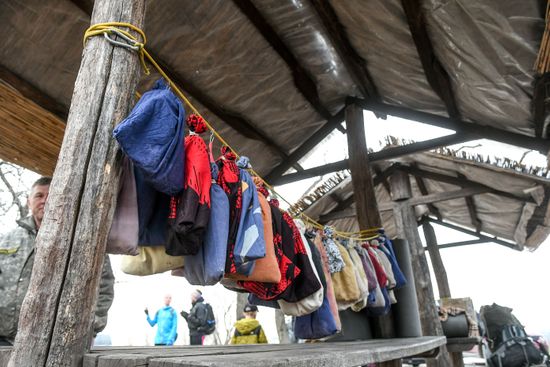 Bags Contain Some 700 Endangered Bats Editorial Stock Photo - Stock ...