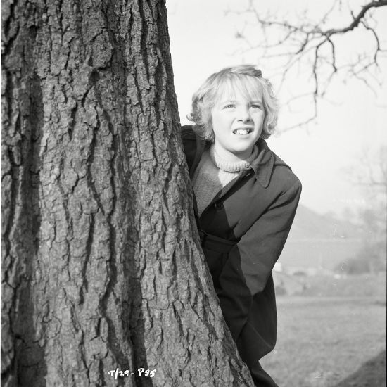 Diane Holgate Nan Editorial Stock Photo - Stock Image | Shutterstock
