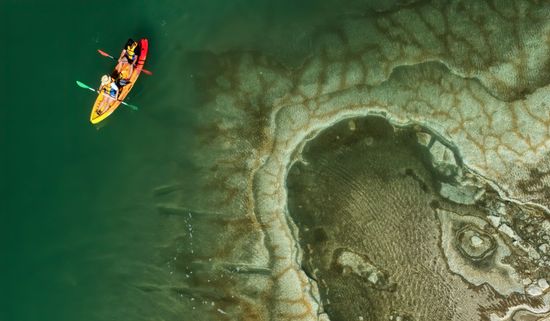 Land Ho Kayakers Float Above Salt Editorial Stock Photo - Stock Image ...