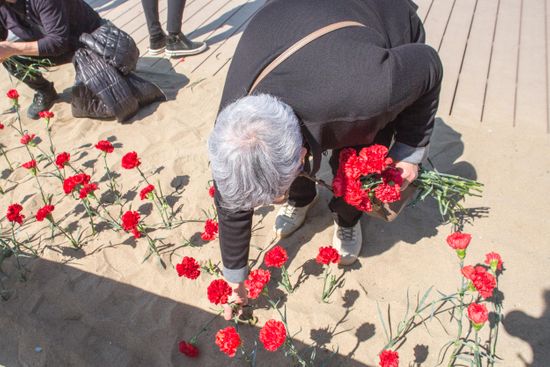 Person Seen Planting Carnation Seedling On Editorial Stock Photo ...