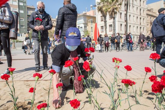 Person Seen Planting Carnation Seedling On Editorial Stock Photo ...