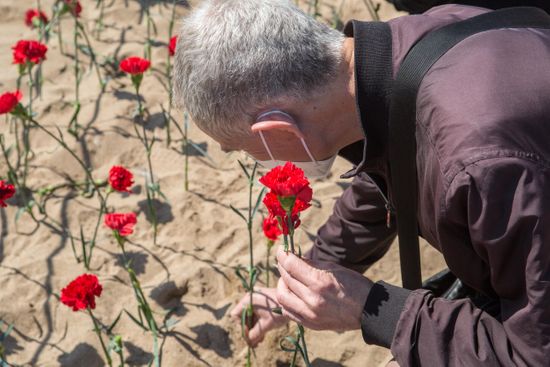 Person Seen Planting Carnation Seedling On Editorial Stock Photo ...