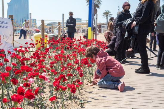 Child Seen Planting Carnation Seedling On Editorial Stock Photo - Stock ...