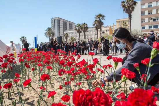 Person Seen Planting Carnation Seedling On Editorial Stock Photo ...