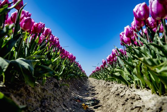 During Beautiful Spring Weather Many Tourists Editorial Stock Photo ...