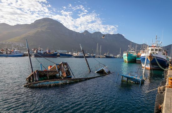 General View Sunken Fishing Trawlers Hout Editorial Stock Photo - Stock ...