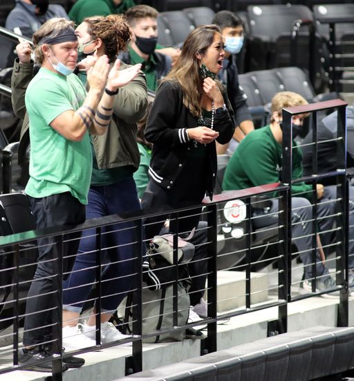 Hawaii Fans Celebrated Their Team First Editorial Stock Photo - Stock ...