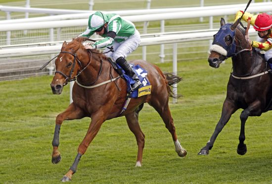 Mr Lupton Paul Hanagan Wins Churchill Editorial Stock Photo - Stock ...