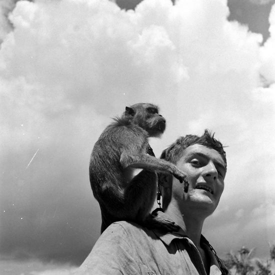 Man Carrying Monkey On His Shoulder Editorial Stock Photo - Stock Image ...