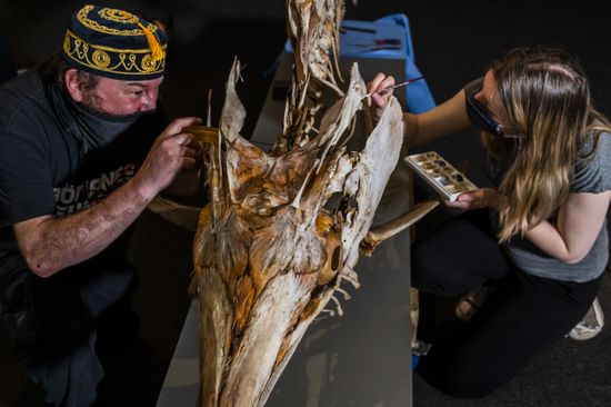 3m Black Marlin Skeleton Assembled Moved Editorial Stock Photo - Stock ...