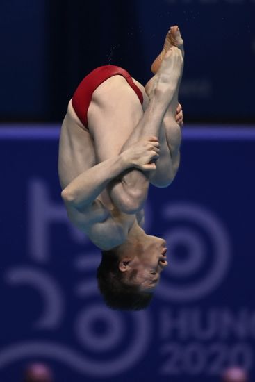 Martin Wolfram Germany Competes Mens 3m Editorial Stock Photo - Stock ...