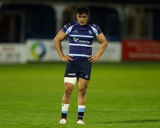 Elijah Niko Bedford Blues Editorial Stock Photo - Stock Image ...