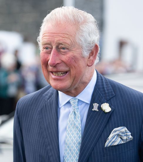 Prince Charles Smiles He View Stones Editorial Stock Photo - Stock ...