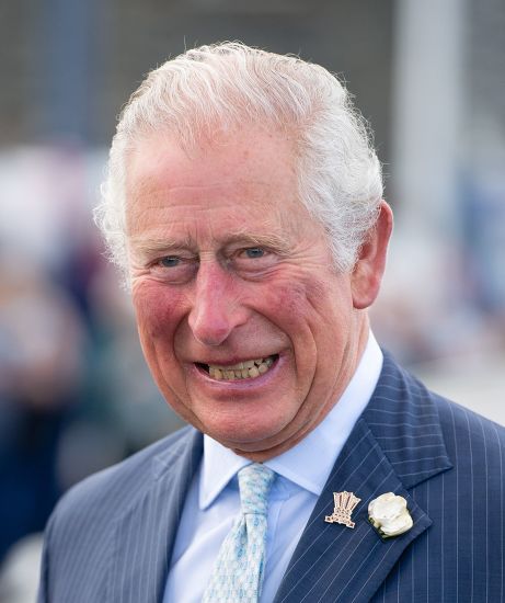 Prince Charles Smiles He View Stones Editorial Stock Photo - Stock ...