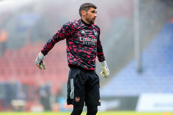 Arsenal Goalkeeper Mat Ryan 33 Warm Editorial Stock Photo - Stock Image ...