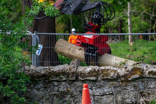 Tree Grabber Picks Remains Tree Felled Editorial Stock Photo - Stock ...