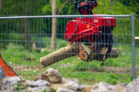 Tree Grabber Picks Remains Tree Felled Editorial Stock Photo - Stock ...