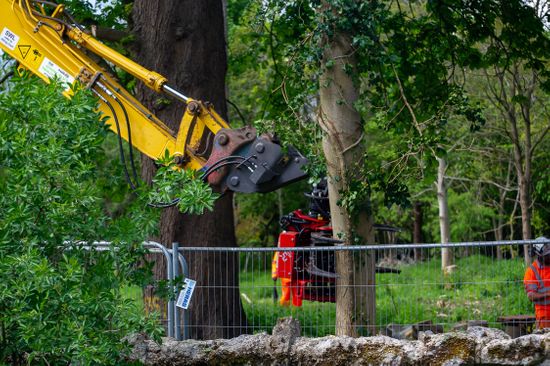 Tree Grabber Picks Remains Tree Felled Editorial Stock Photo - Stock ...