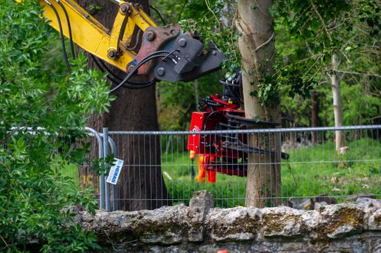 Tree Grabber Picks Remains Tree Felled Editorial Stock Photo - Stock ...