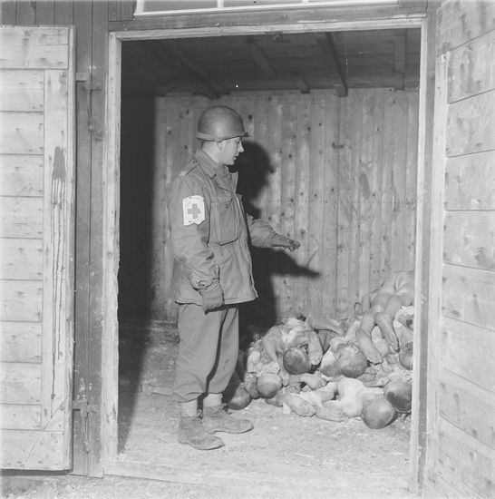Men Standing Near Dead Bodies Ohrdruf Editorial Stock Photo - Stock ...