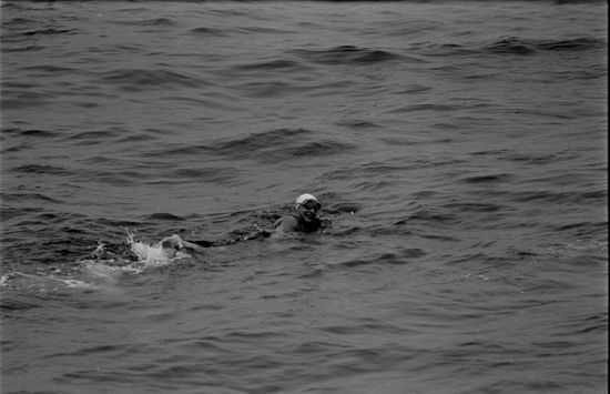 Florence May Chadwick Swimming Catalina Channel Editorial Stock Photo ...