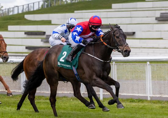 Weatherbys Ireland Greenlands Stakes Gary Carroll Editorial Stock Photo ...