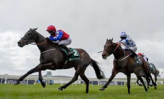 Weatherbys Ireland Greenlands Stakes Gary Carroll Editorial Stock Photo ...