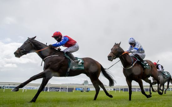 Weatherbys Ireland Greenlands Stakes Gary Carroll Editorial Stock Photo ...