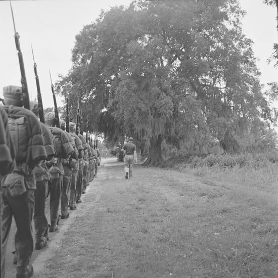 Marines Marching Boot Camp On Parris Editorial Stock Photo - Stock ...