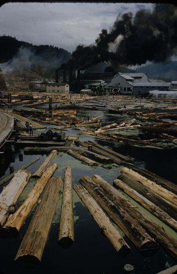 Woods Floating On Water Pacific Lumber Editorial Stock Photo - Stock ...