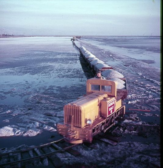 Train Leslie Salt Company Carrying Salt Editorial Stock Photo - Stock ...