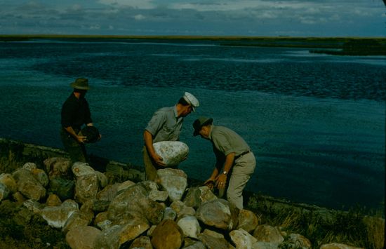 Members Ducks Unlimited Throwing On Rocks Editorial Stock Photo - Stock ...