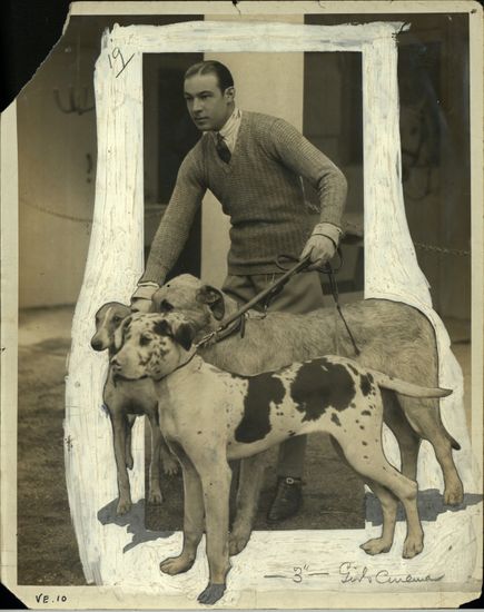 Rudolph Valentino Holding His Dogs 1923 Editorial Stock Photo - Stock ...