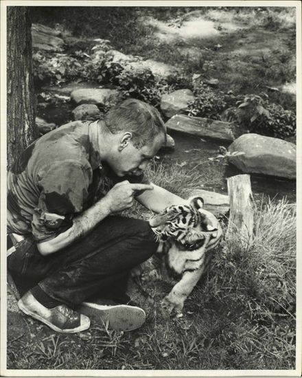 Curator Hugh Animal Zoo Bronx New Editorial Stock Photo - Stock Image ...